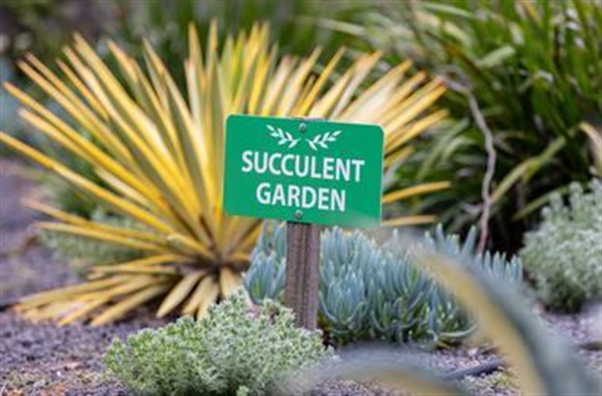 Water Conservation | Dublin San Ramon Services District